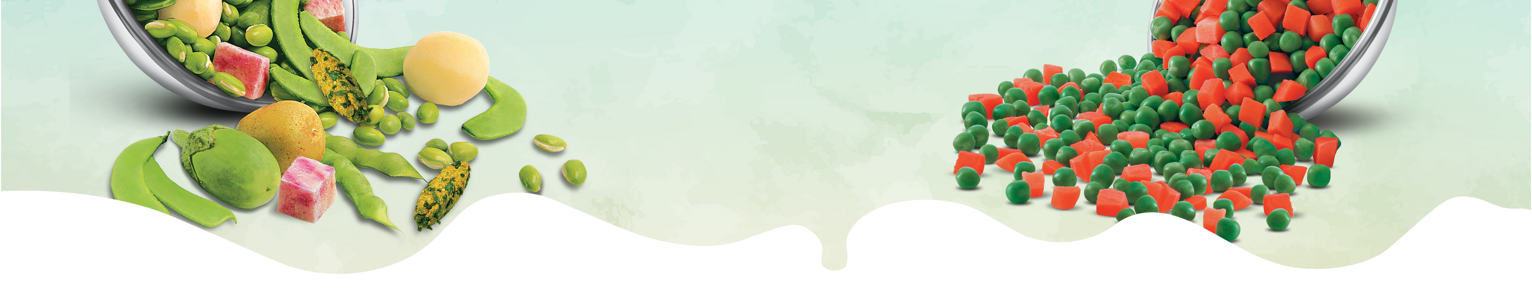 Veggies – Vadilal Quick Treat